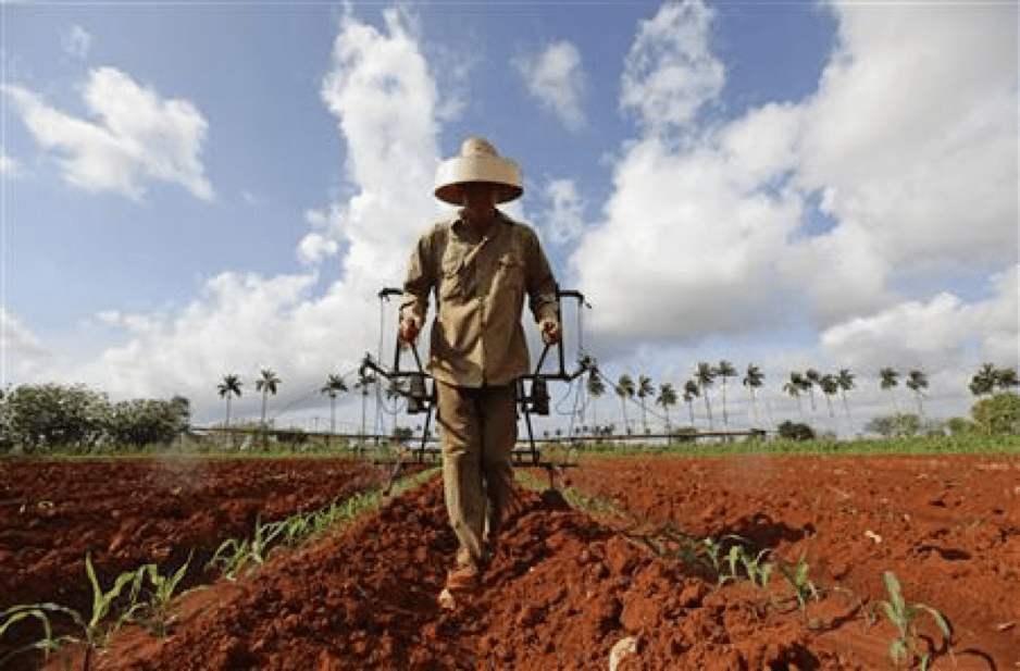 Scrap Metal Made Into Useful Inventions | Gardner Metal